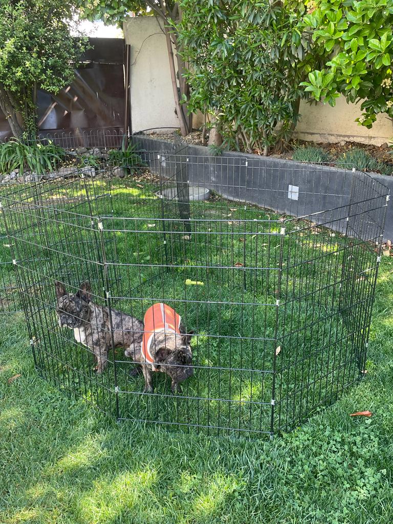 Corral Plegable Pet 90cm Alto 3 Posiciones M (Medium)